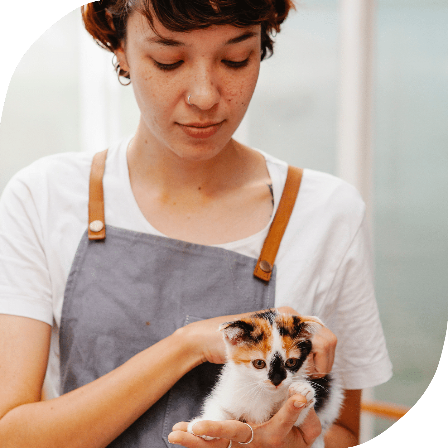 Running a pet store | BC's Office of the Human Rights Commissioner