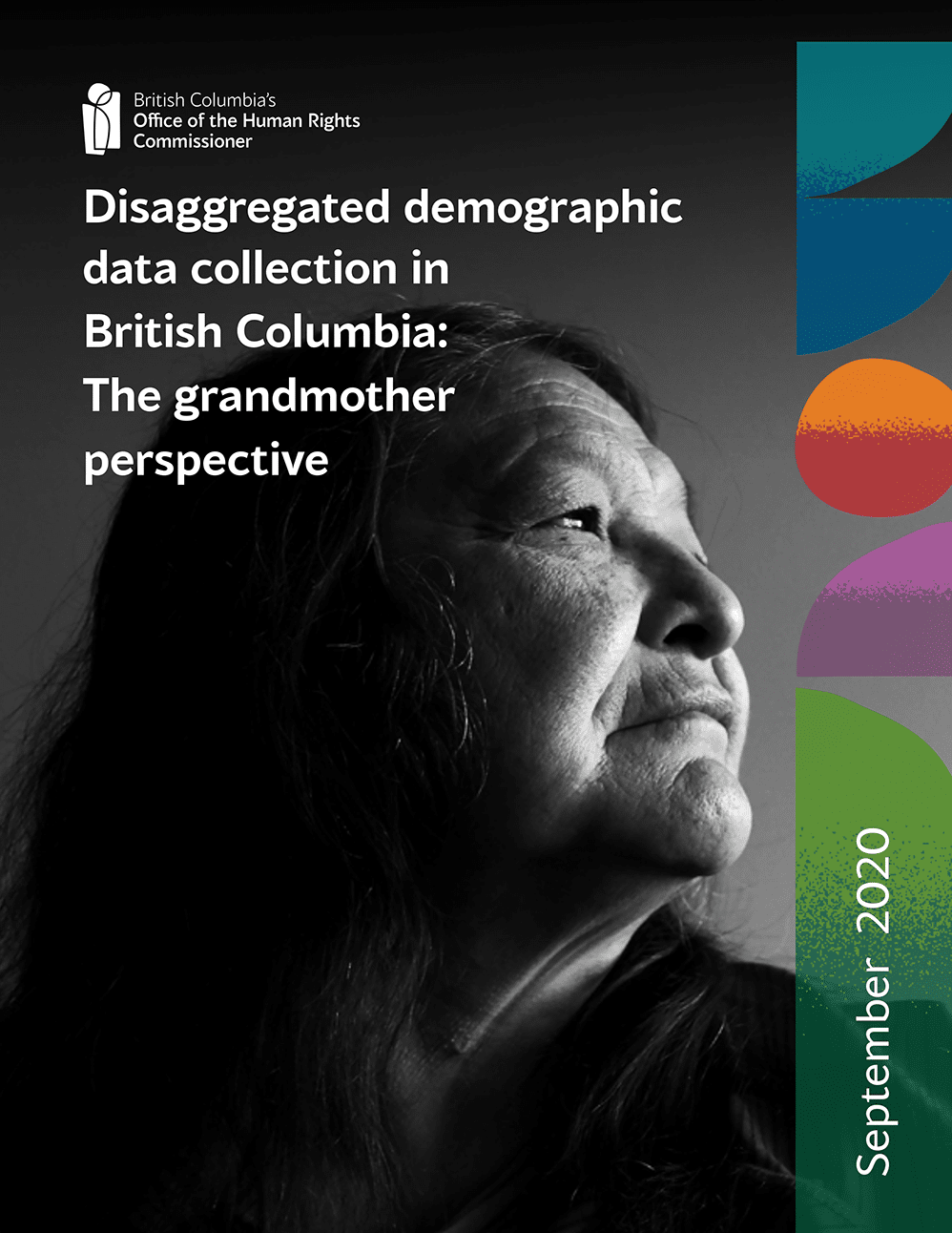 Disaggregated demographic data collection in British Columbia: The ...